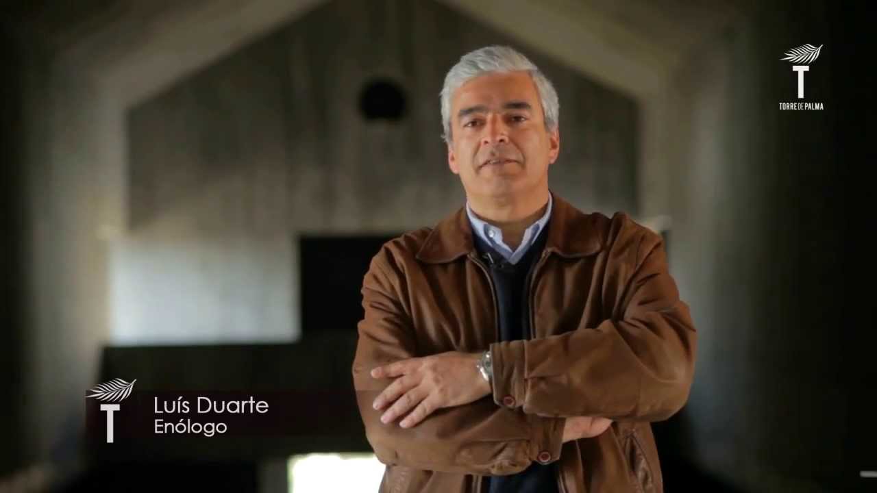 Luis Duarte Vinhos | The Wine Guy - shop | bar | tastings